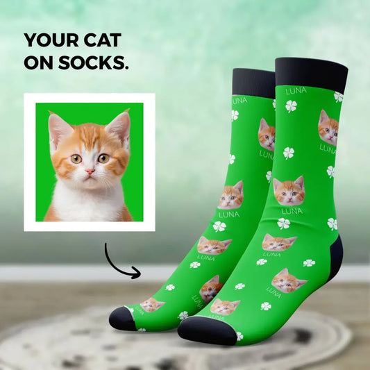 Purr-Fect Essentials For Every Cat – Chic Kitty